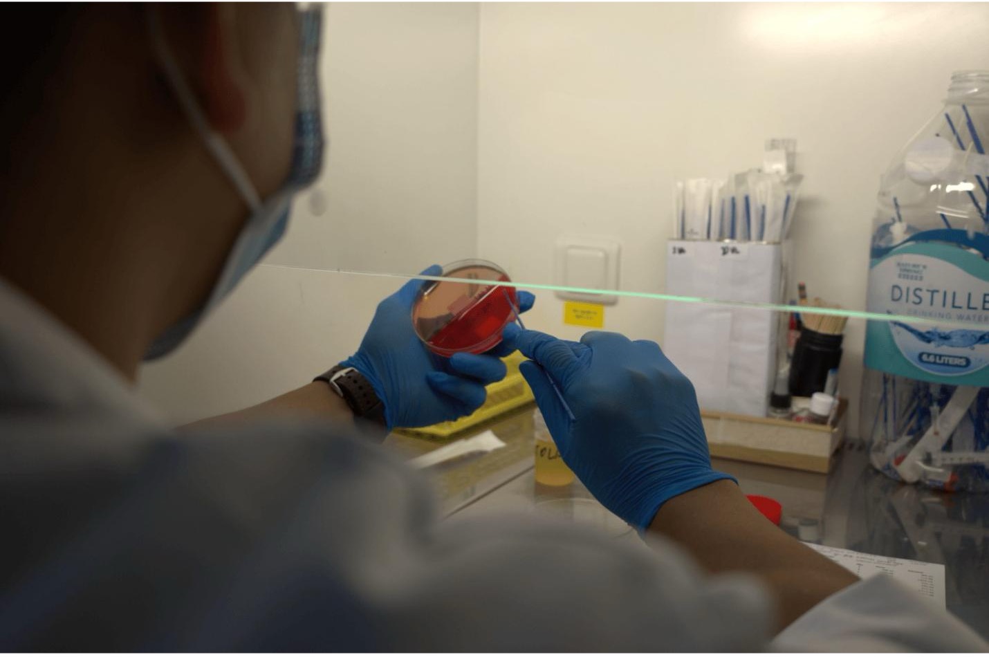 Your Guide to HMOs and Health Coverage at Unihealth Southwoods ...