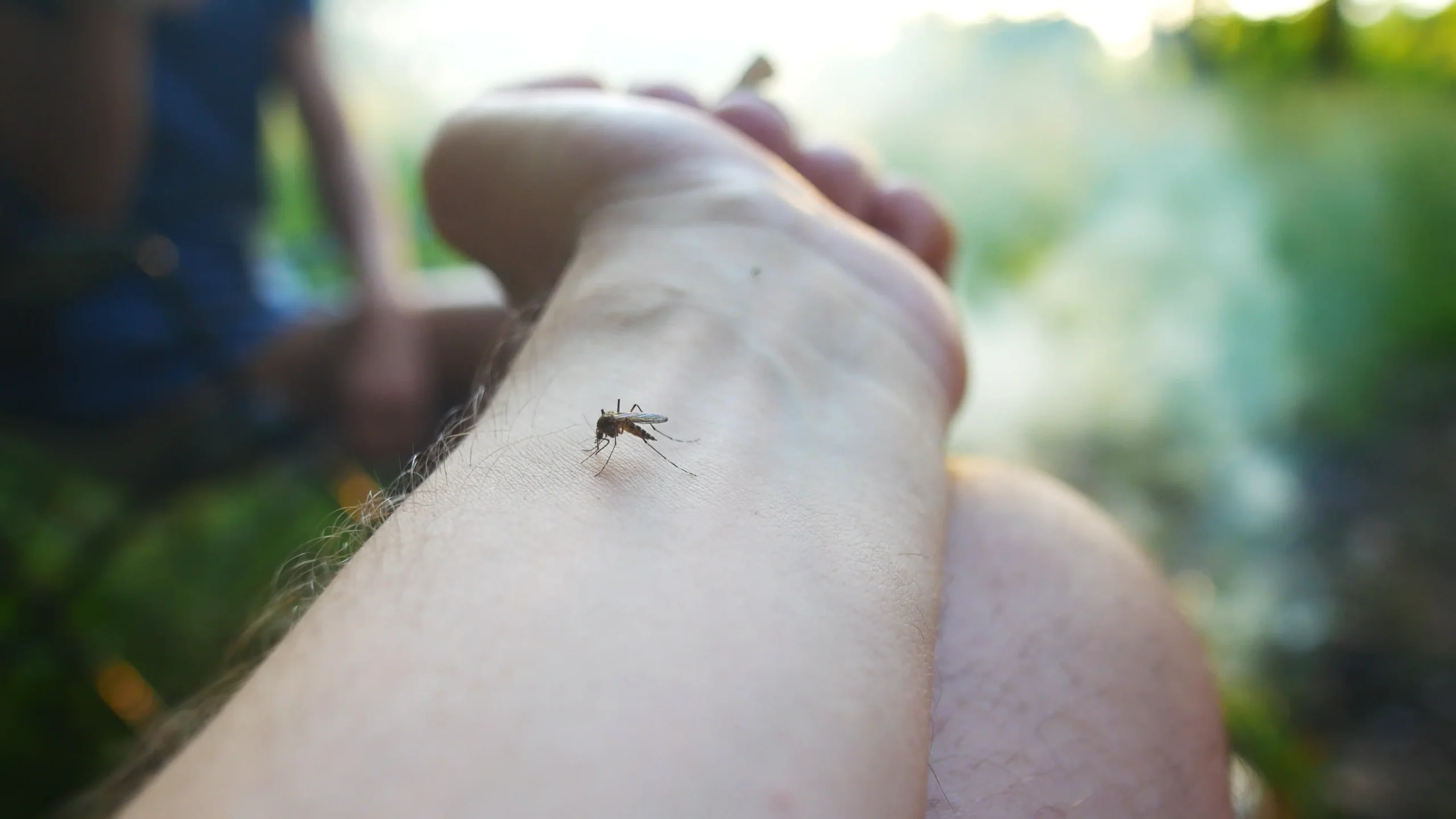 Dengue in the Philippines: Symptoms, Treatment, and How to Protect Your ...